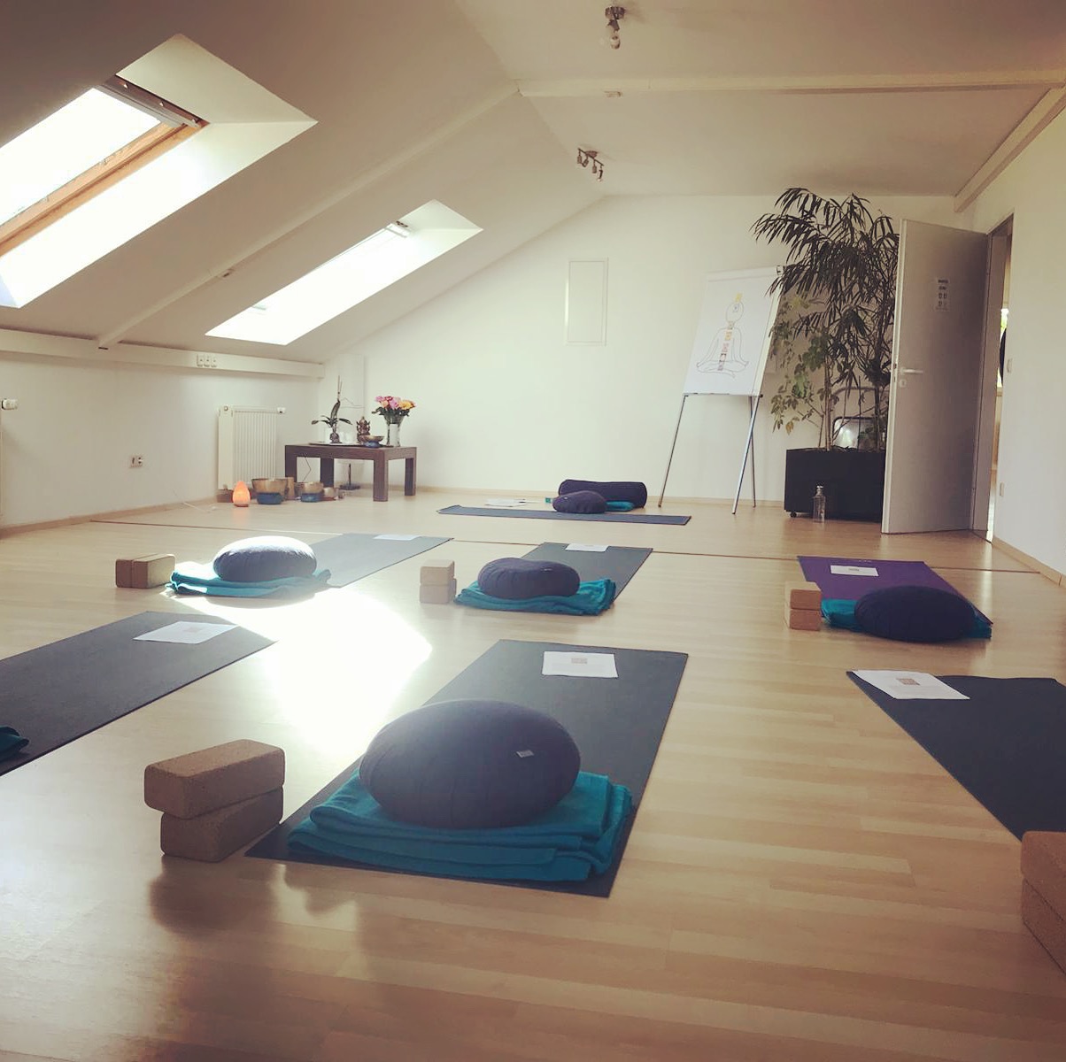 Yoga Studio Shunia Greven | Hatha und Vinyasa Yoga, Kundalini Yoga, Yin ...